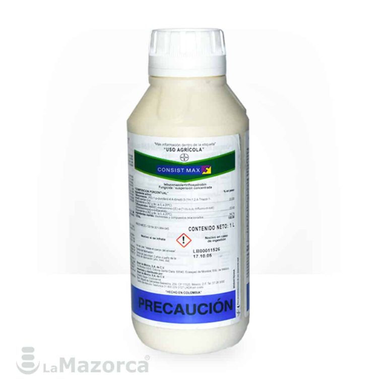 CONSIST MAX – Mazorca