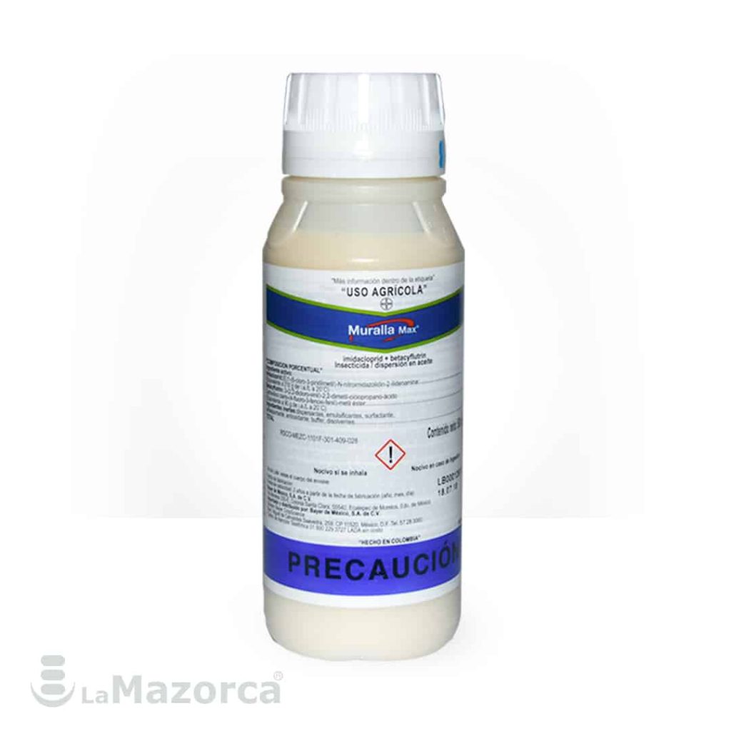 MURALLA MAX – Mazorca