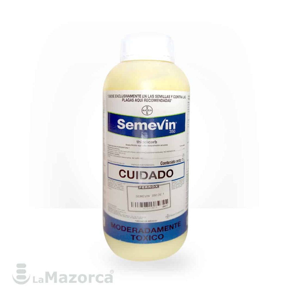 SEMEVIN – Mazorca