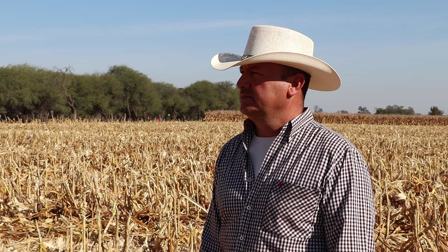 Nosotros – Mazorca